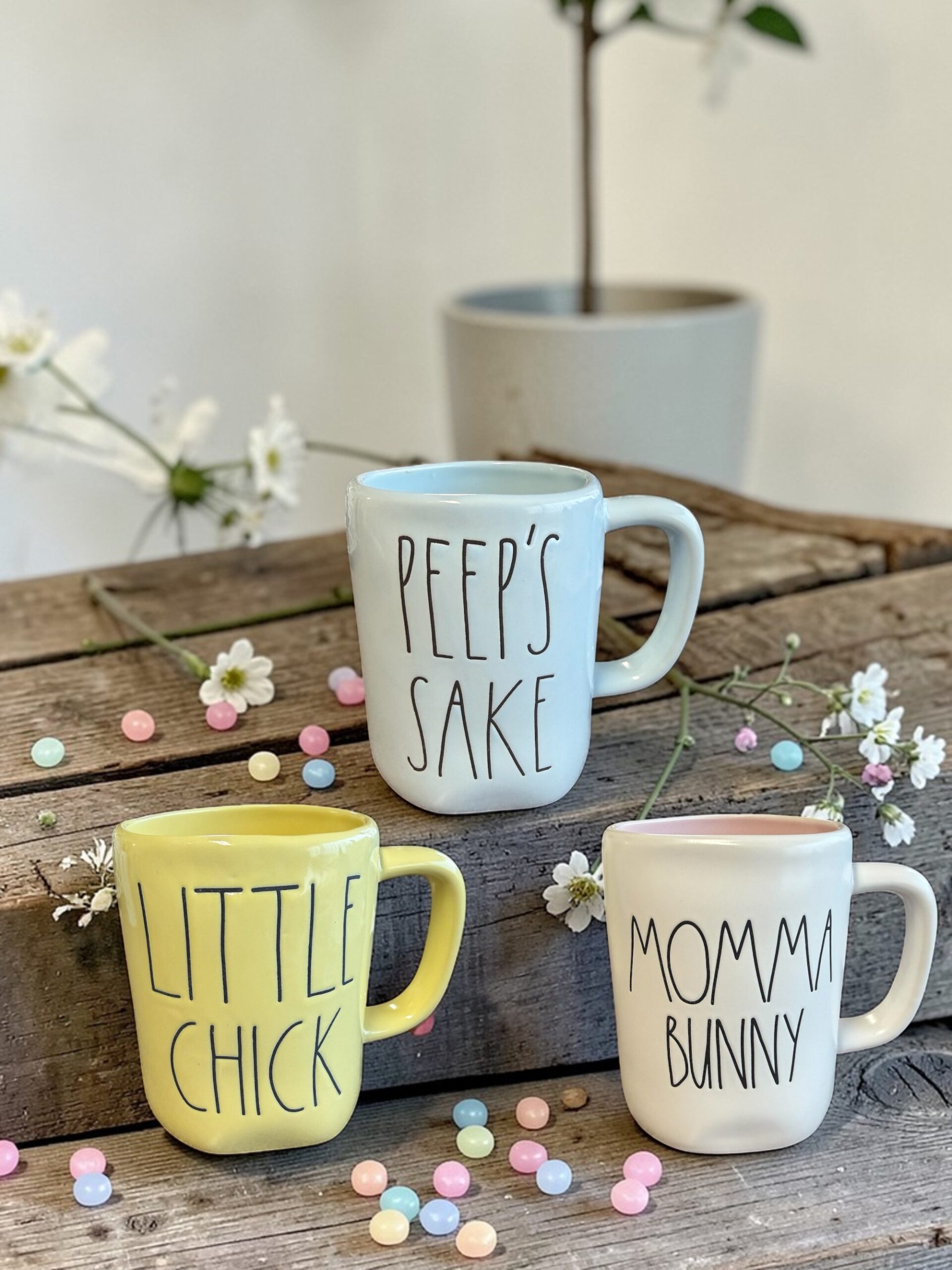 Springtime Rae Dunn Mug Candle - Wick-edly Sent